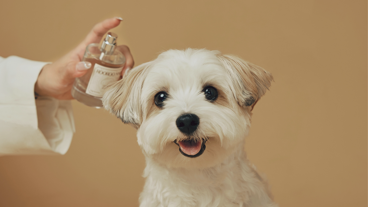 ROOROO MADE – ROOROO MADE